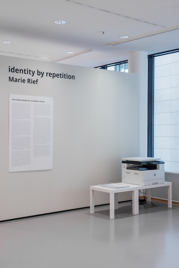 MARIE RIEF — identity by repetition, 2022